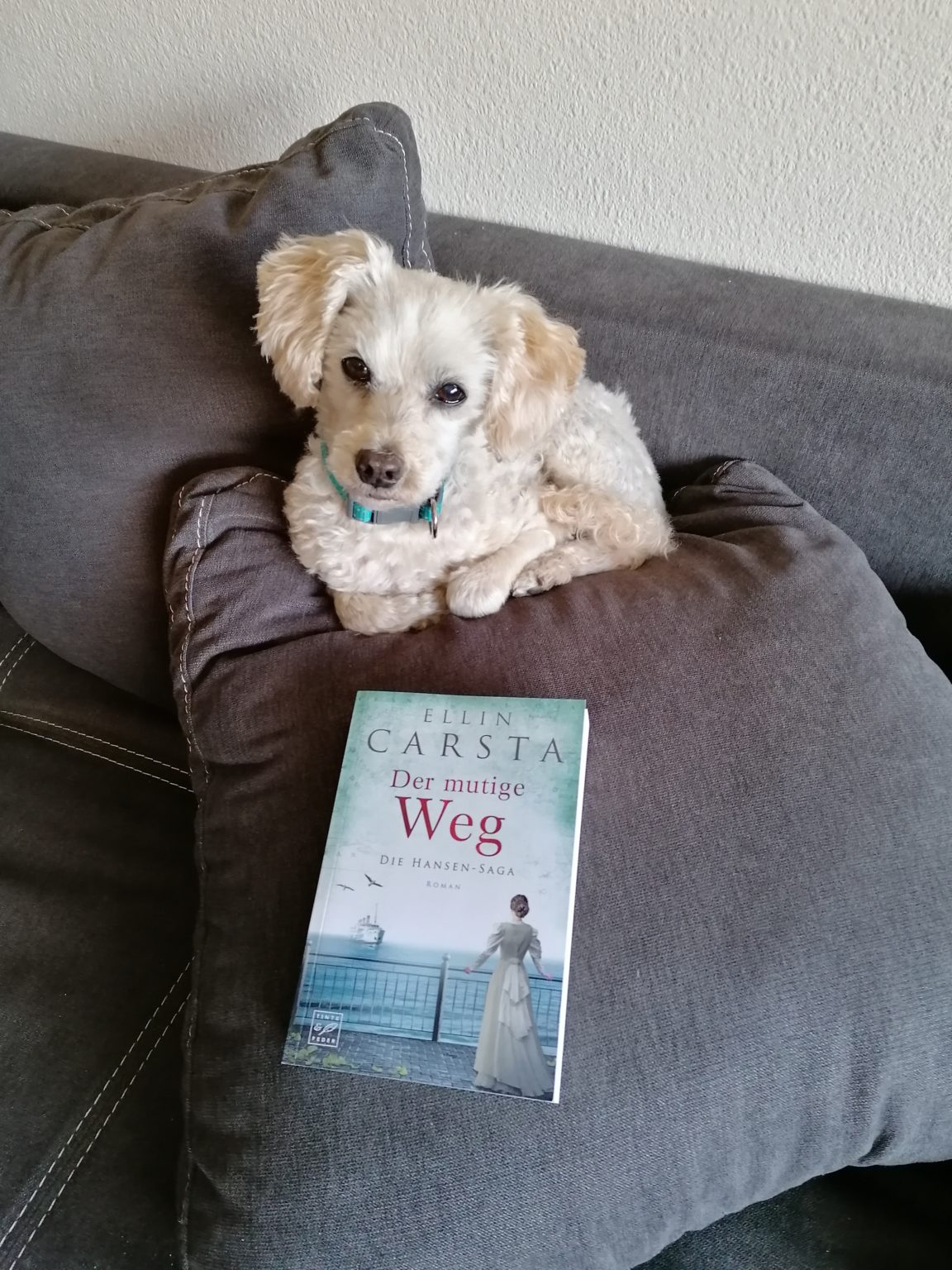 Rezension Der mutige Weg von Ellin Carsta (Hansen-Saga 5) - lenisveas ...